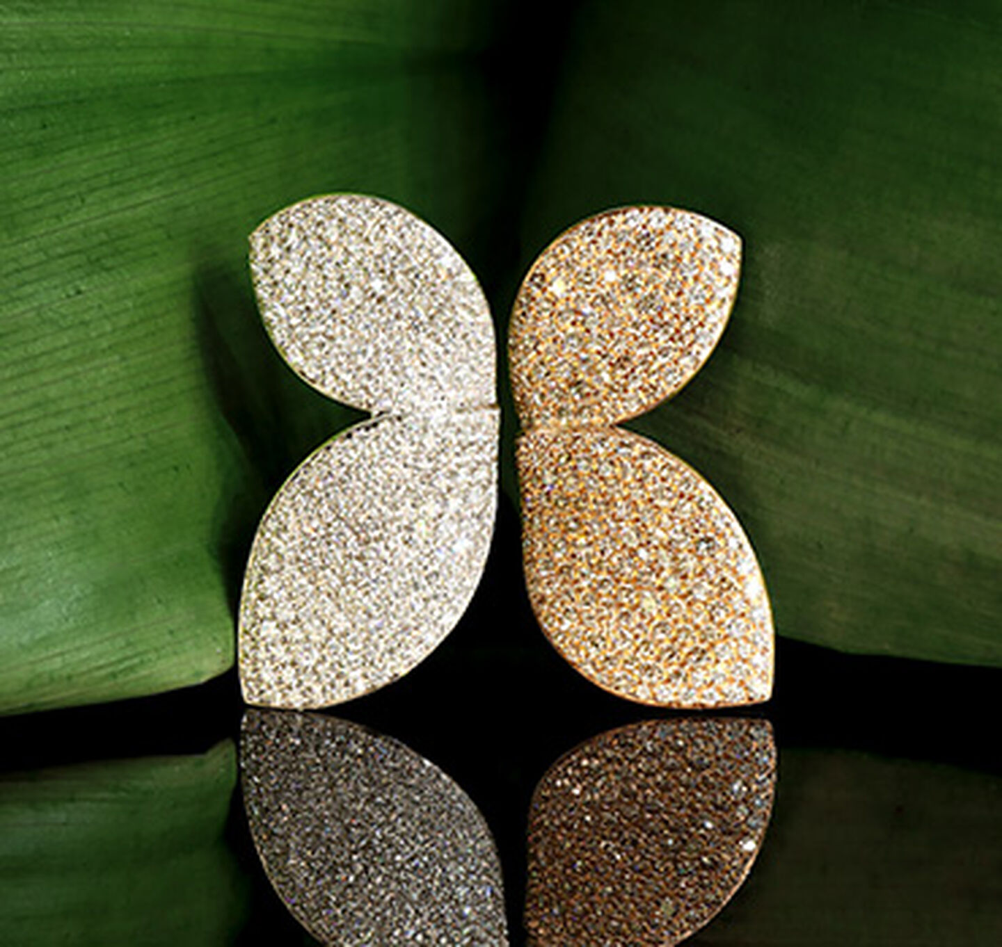 Pasquale Bruni Collection